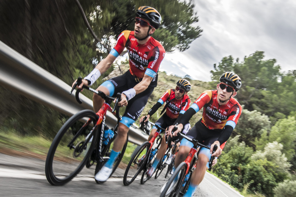 World Tour Pedigree Bikes Guide - Elite Road Cycling Performance ...